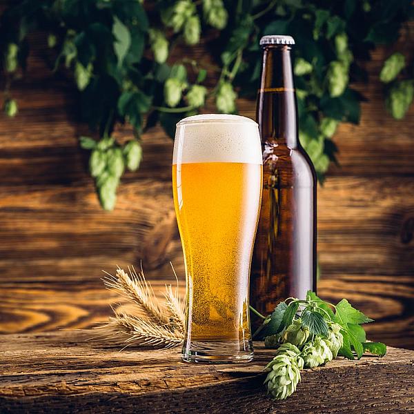 Cesta za českým pivem, visitpivo.cz